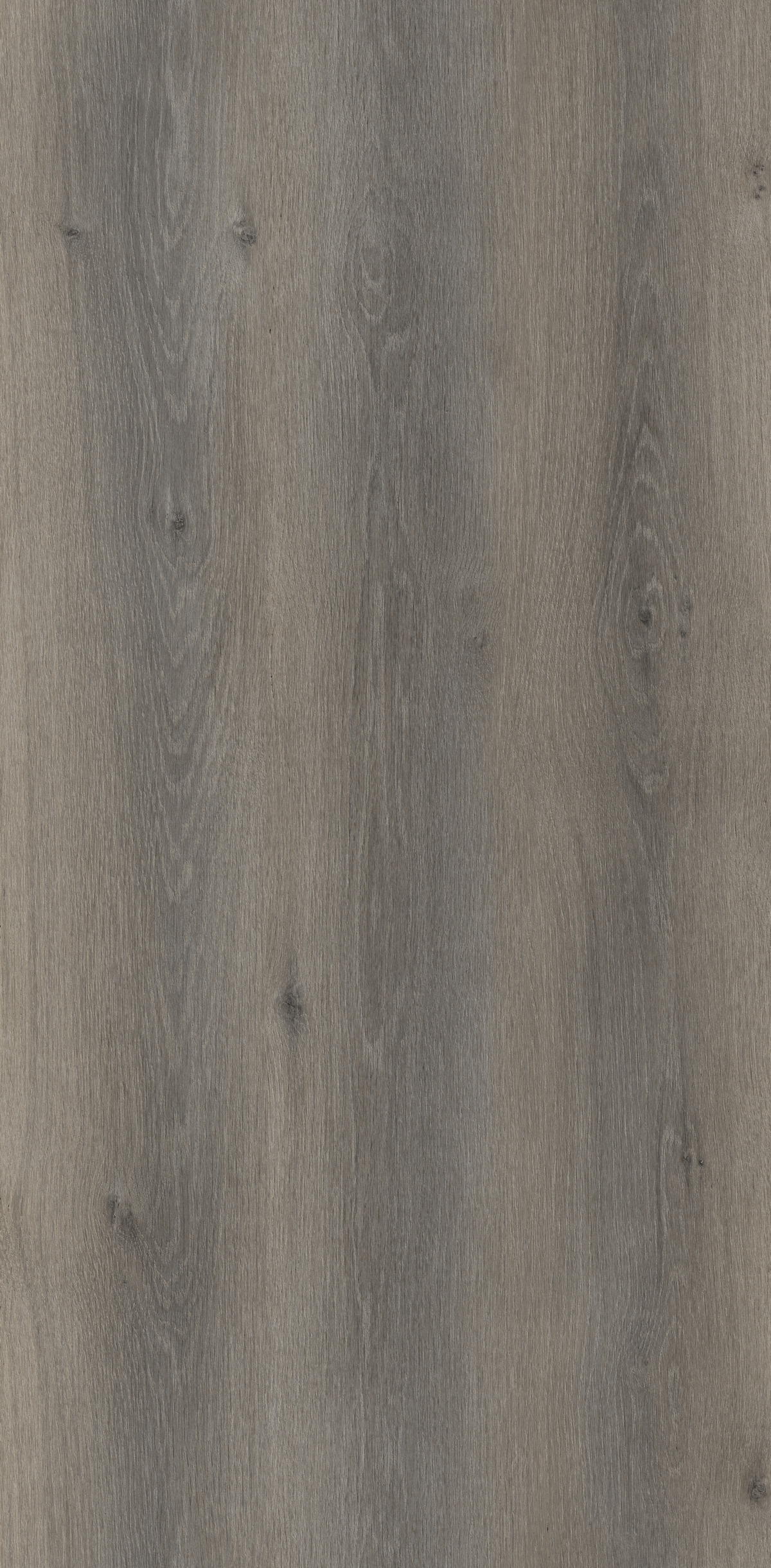 Smooth Oak Allover - Interprint