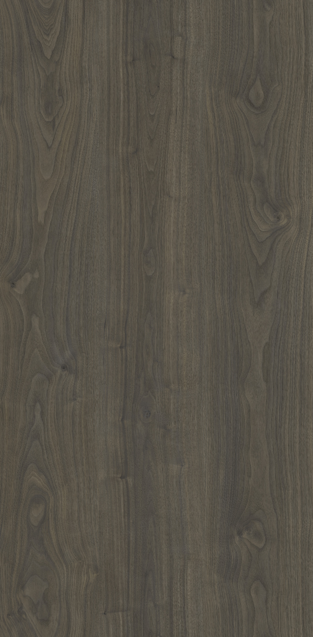 New Age Walnut Allover - Interprint