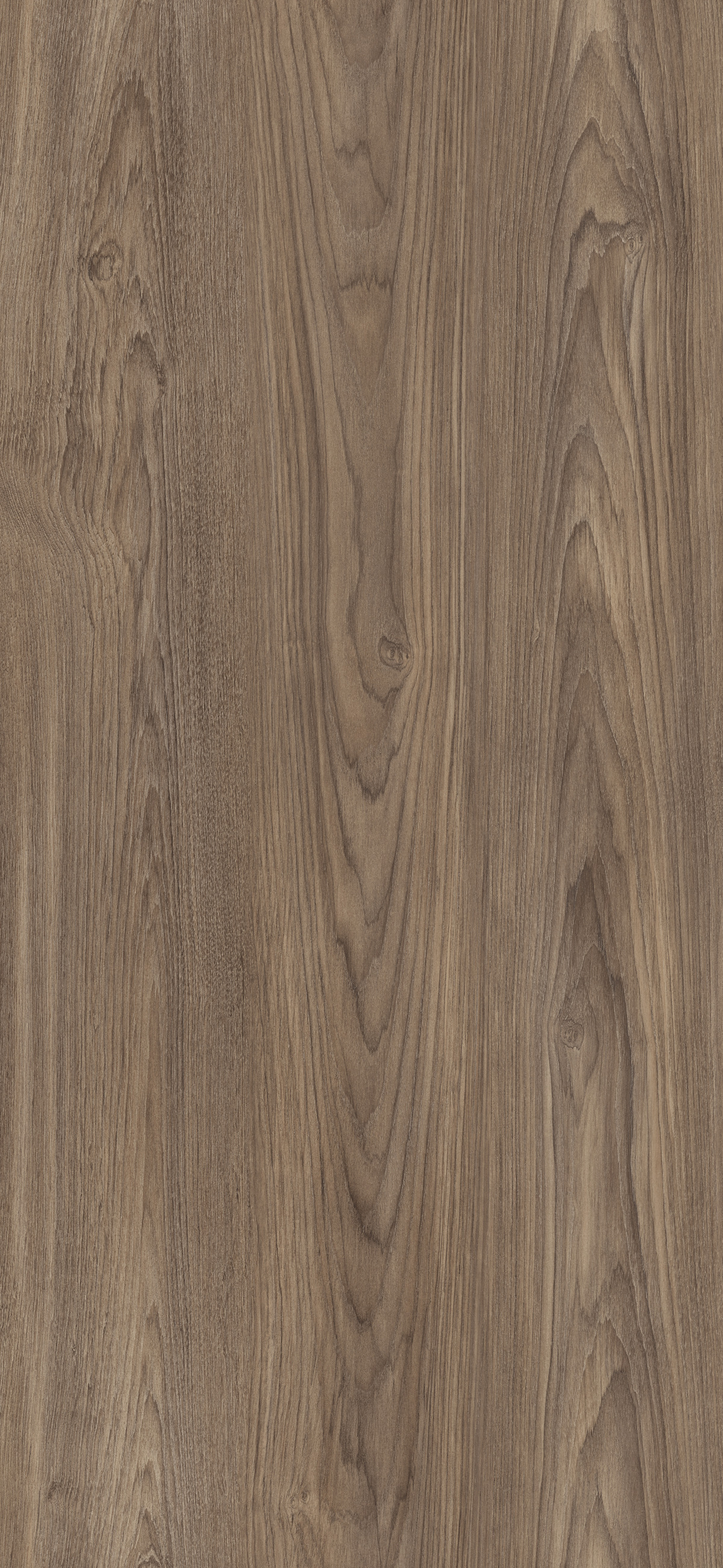 Grandis Teak - Interprint