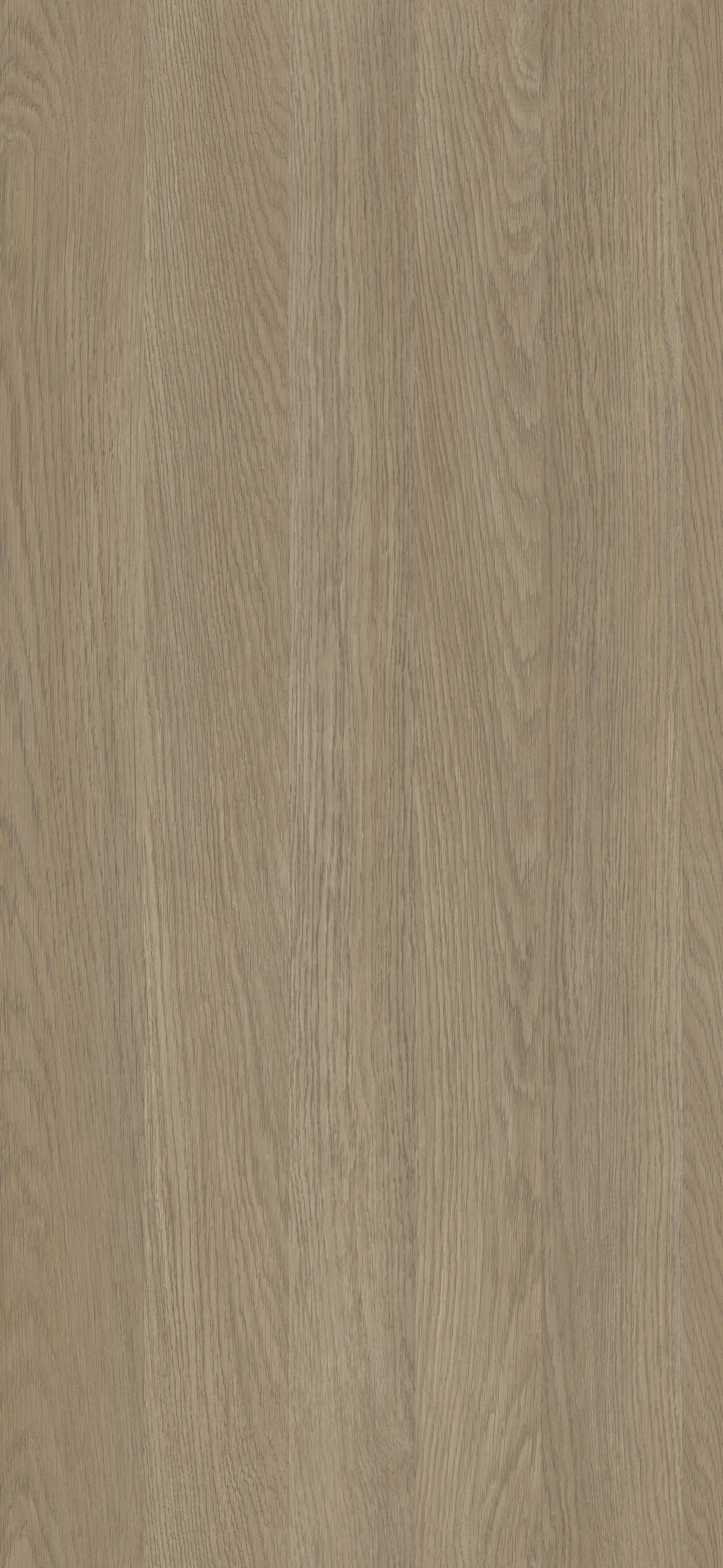 Adena Oak - Interprint