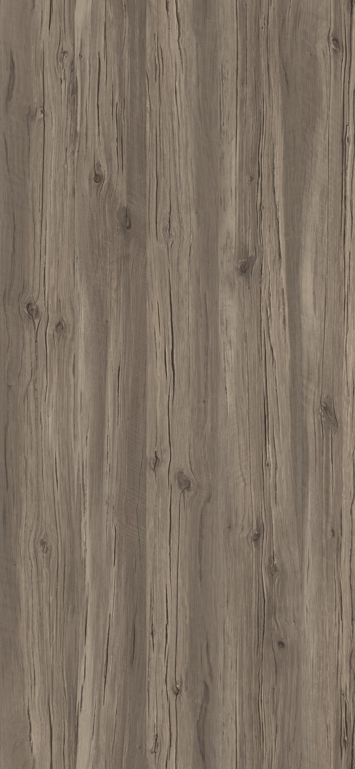 Murieta Oak - Interprint